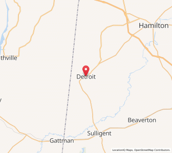 Detroit, AL Sunrise and Sunset Times